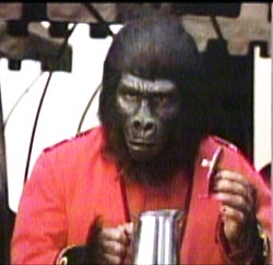 Buck Kartalian Gallery